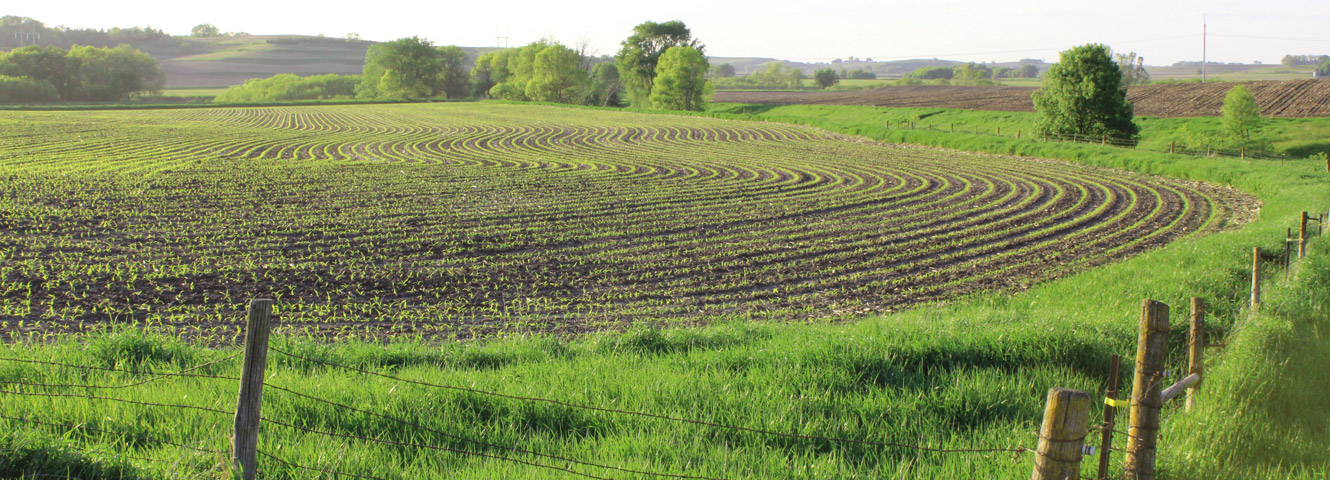 Home › United Bank of Iowa