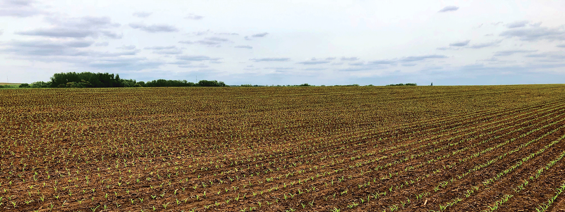 Iowa's Number One Ag Bank